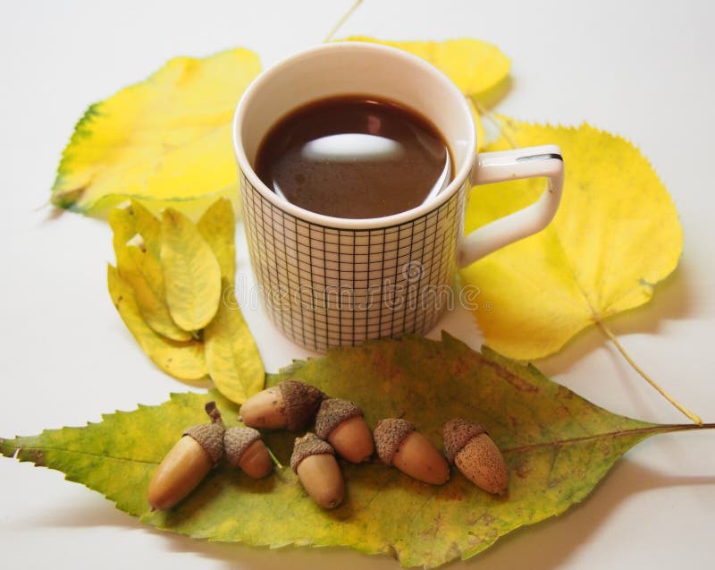 Coffee and leaves stock photo. Image of life, drink, leaf - 78181494