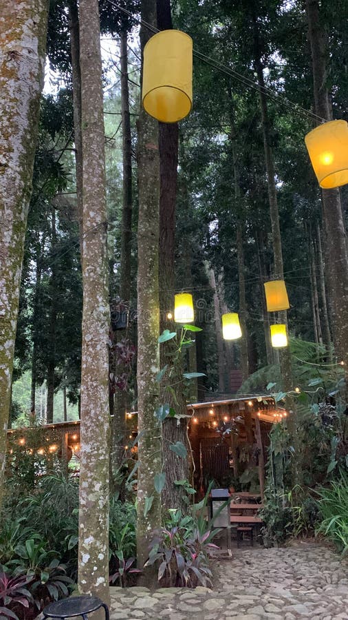 Coffeshop stock image. Image of middle, theme, views - 268982045