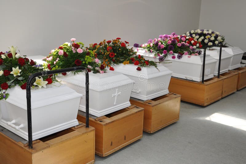 Coffins stock photo. Image of death, coffins, flower - 18384384