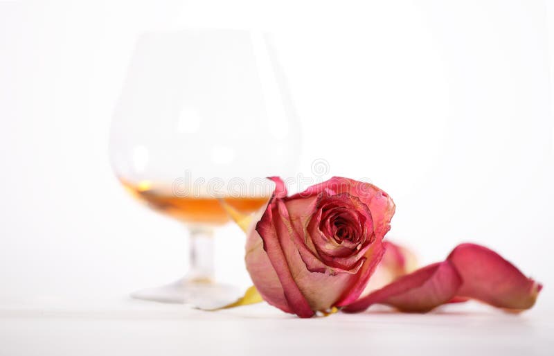 Cognac and rose stock image. Image of petals, natural - 8508069