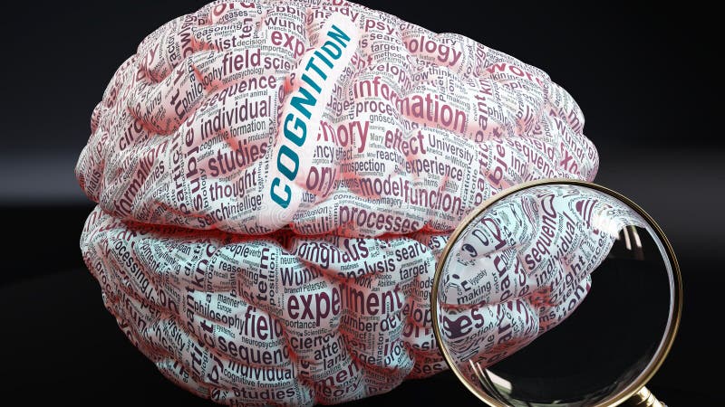 Cognition in human brain stock image. Image of cortex - 248033069