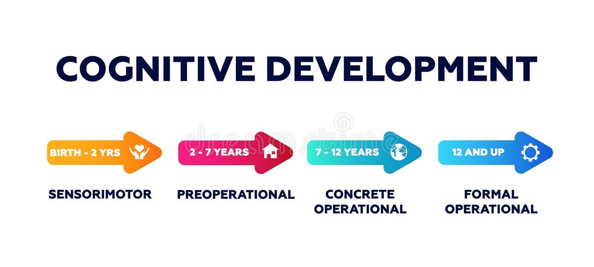 Cognitive Development Stock Illustrations – 5,729 Cognitive Development ...