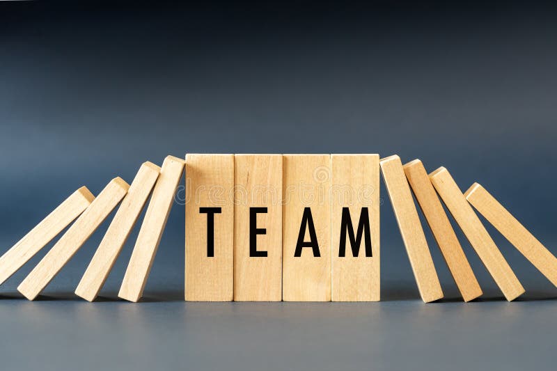 A Cohesive and Harmonious Team. Evenly Standing Blocks with the Word ...