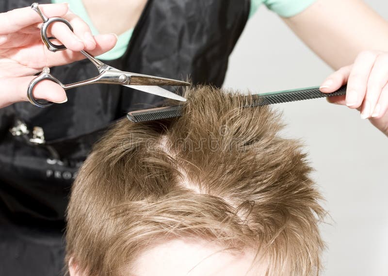 Coiffure image stock. Image du coiffeur, salon, haircutting - 8532075
