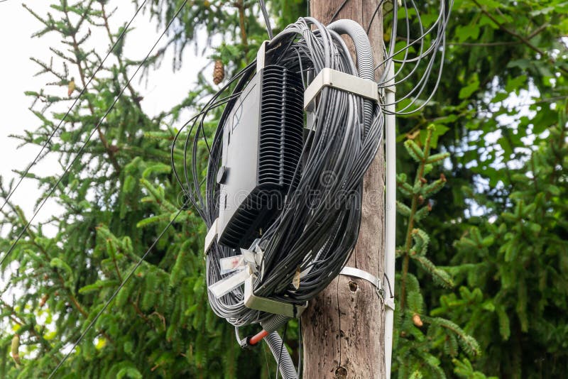 A Coil of Fiber Optic Cables on a Wooden Pole Stock Photo - Image of ...