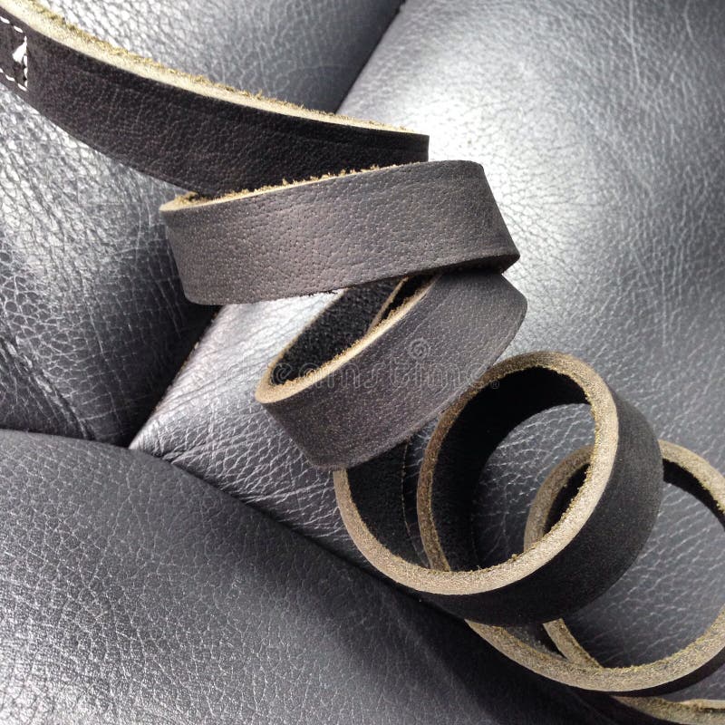 Coiled leather Bullwhip stock photo. Image of whip, bullwhip - 104092800