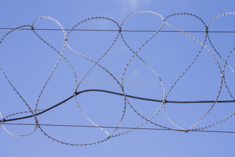 Coiled Razor Wire with Its Sharp Steel Barbs on Top of a Wire Mesh ...