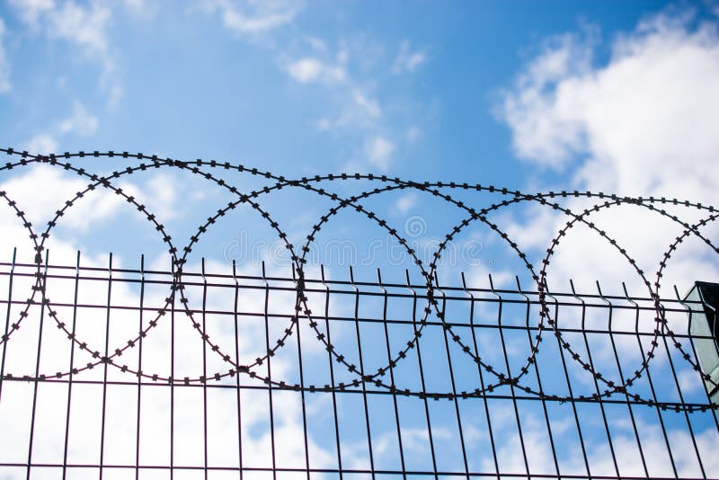 Coiled Razor Wire on Top of a Fence Stock Image - Image of access ...