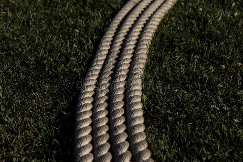 154 Coiled Lasso Rope Stock Photos - Free & Royalty-Free Stock Photos ...