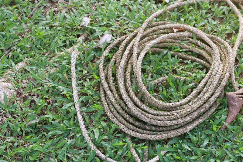 Coiled Roll of Rope Arranged on Grass Ground Stock Photo - Image of ...