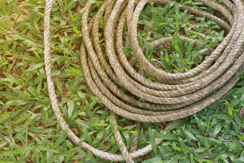 Coiled Roll of Rope Arranged on Grass Ground Stock Photo - Image of ...