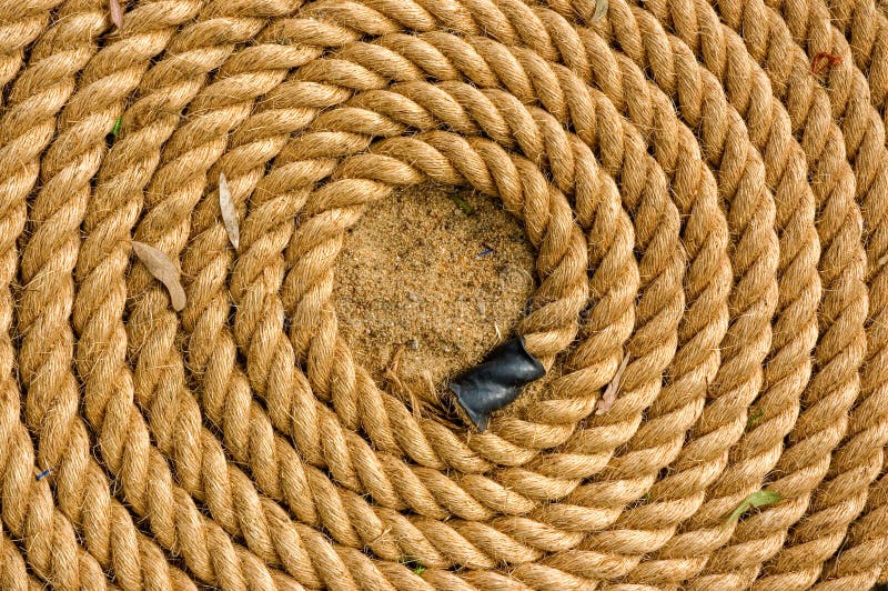 Ian Thorpe editorial stock photo. Image of australian - 22860578