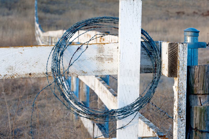 Coiled up barbed wire. stock photo. Image of barbed, barrier - 23419530