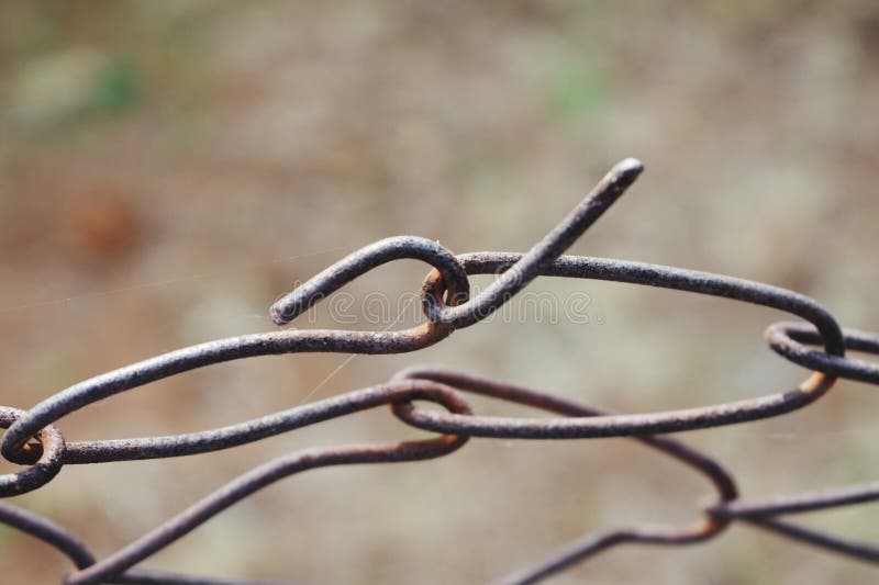 Coiled wire for fencing stock image. Image of roll, protection - 352891989