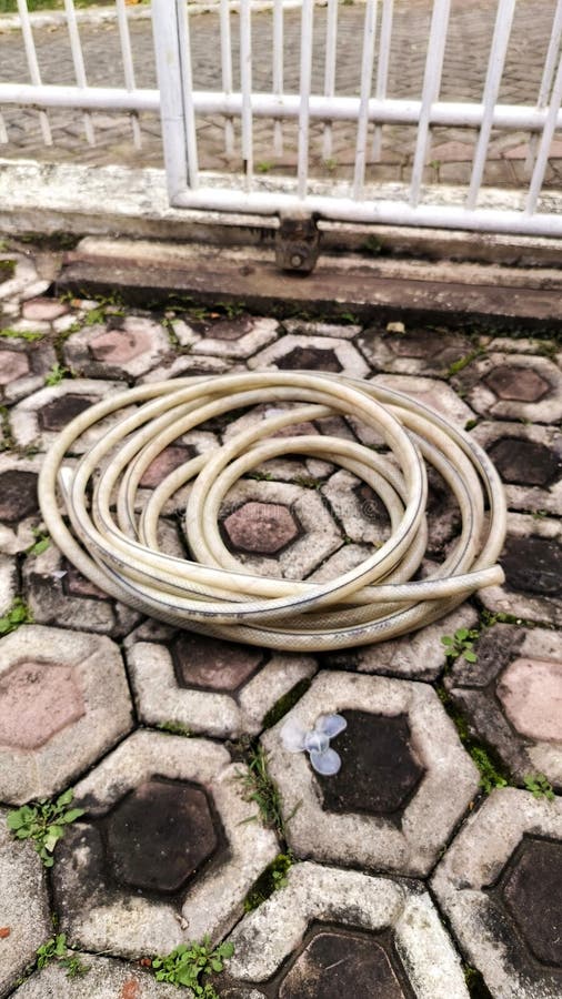 Coiler Water hose stock photo. Image of colored, piece - 386450186