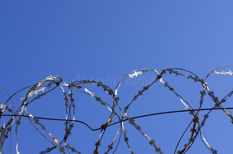 Coils of Barbed Wire with Sharp Spikes Stock Photo - Image of border ...