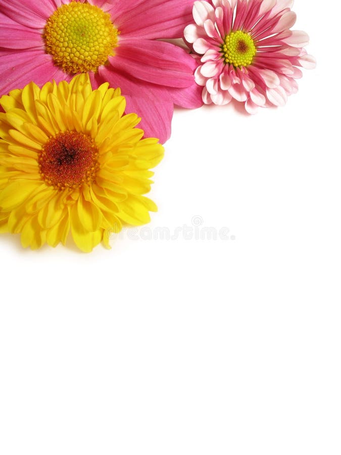 Coin de fleur - 2 photo stock. Image du pétales, coin - 2600958