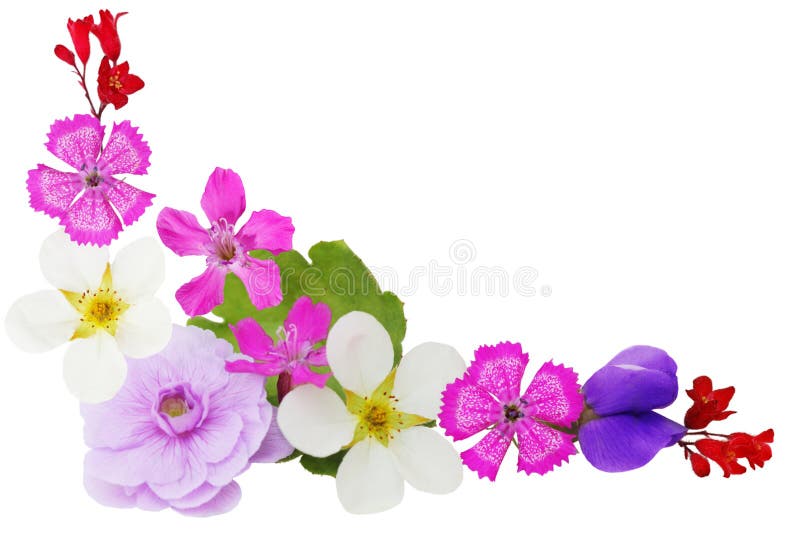 Coin de fleur image stock. Image du nature, fleur, fond - 9931445