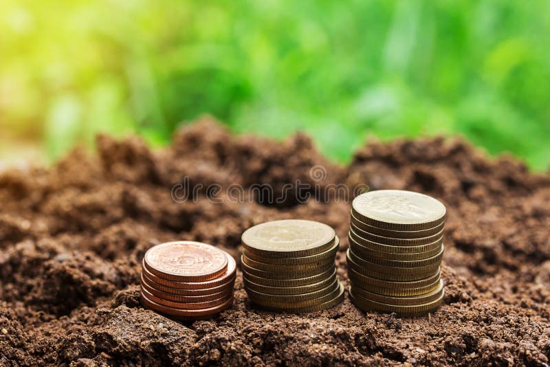 Coin on the Ground with Sunlight and Space for Design. Stock Photo ...
