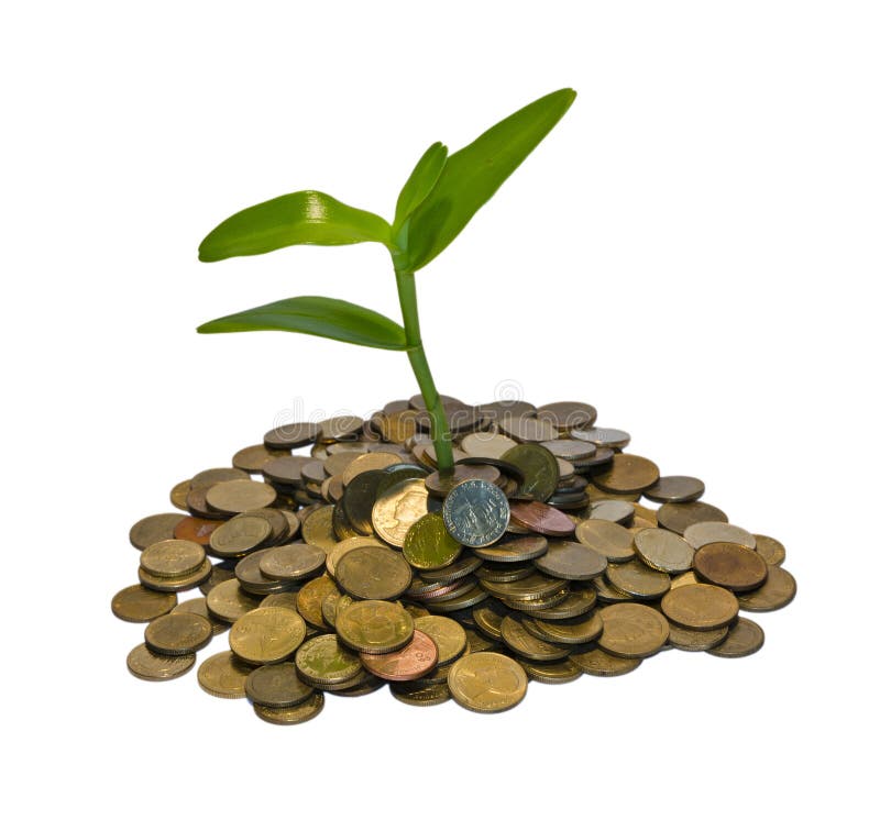 Coin Grow stock image. Image of coin, bank, savings, concept - 23611557
