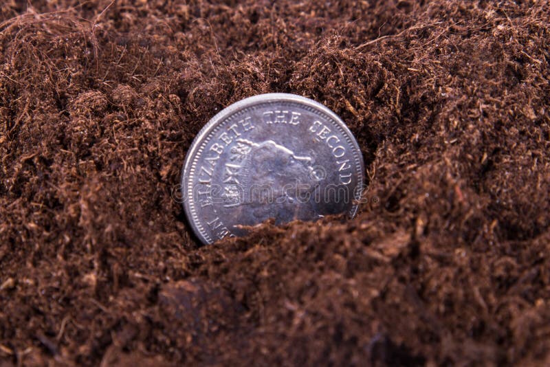 Coin Growing in Soil stock photo. Image of financial - 34867434