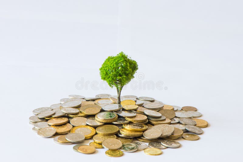 Coin growing tree stock photo. Image of stem, business - 43441224