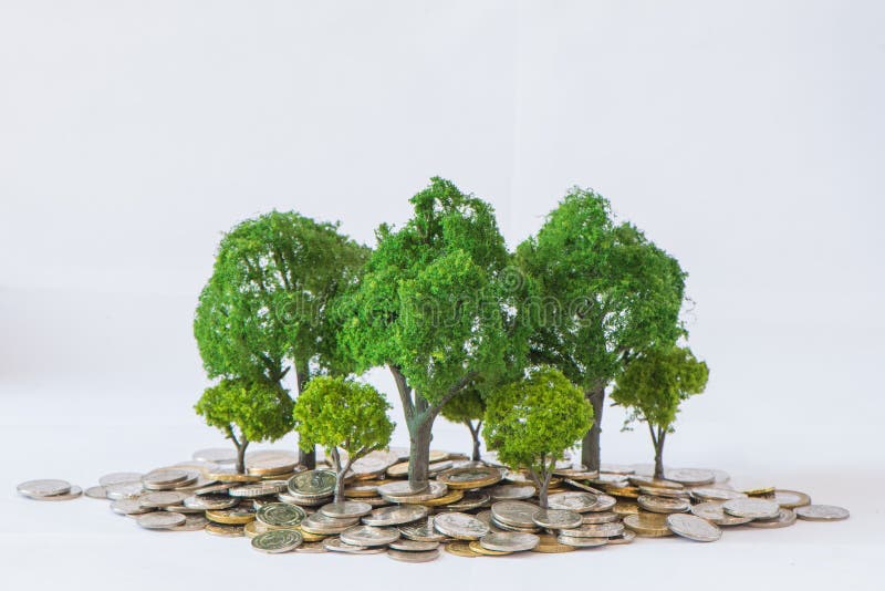Coin growing tree stock photo. Image of seedling, leaf - 43441262
