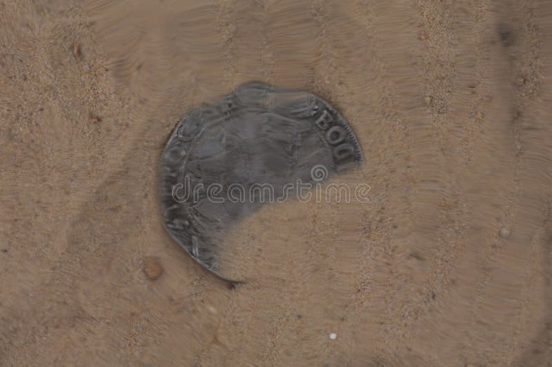Coin in Sand Under the Water Stock Photo - Image of stones, luxury ...