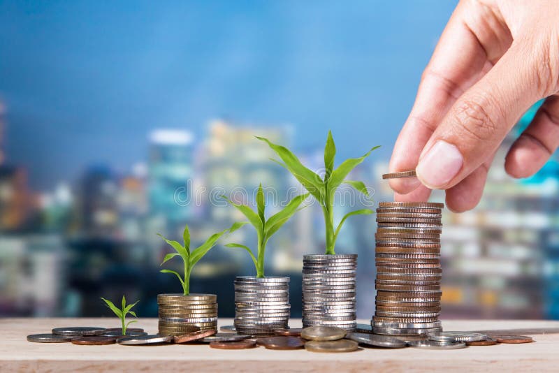 Coin Stacks. Business Growth Concepts Stock Photo - Image of coins ...