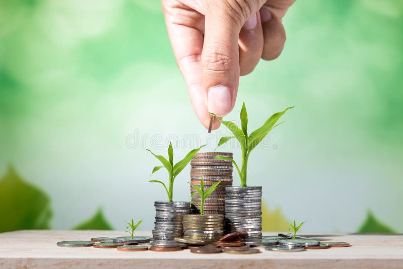 Coin Stacks. Business Growth Up Concepts Stock Image - Image of benefit ...