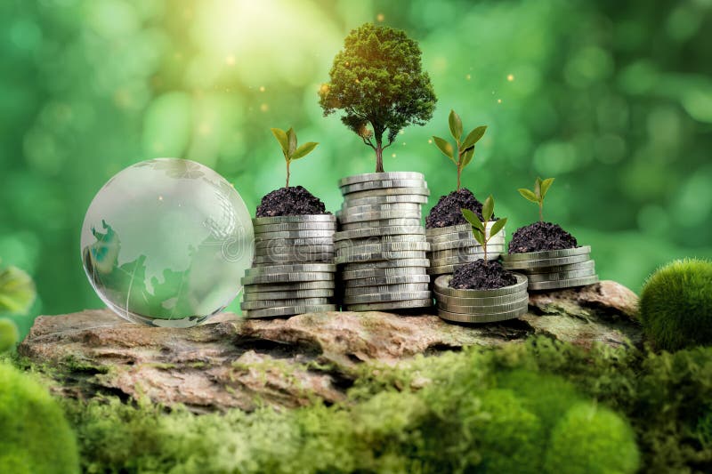Coin Stacks, and Sprouting Seedlings on Top, Representing Eco-friendly ...