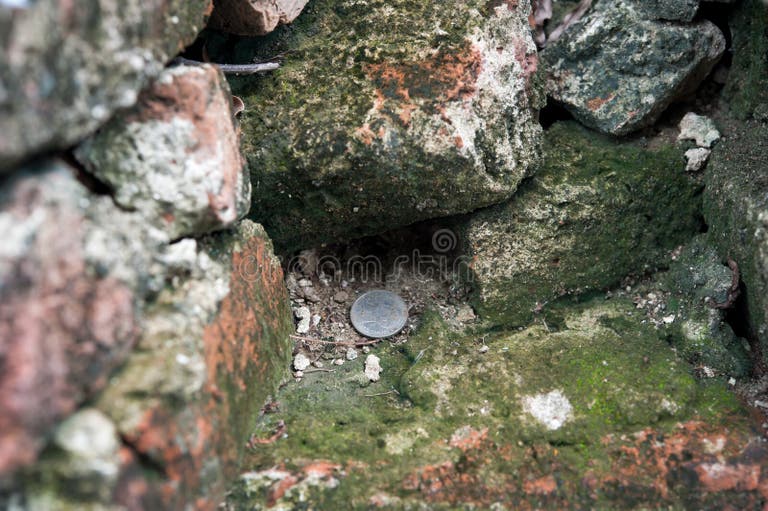 Coin Thai Bath is Hiding in Old Brick Stock Photo - Image of drop, coin ...
