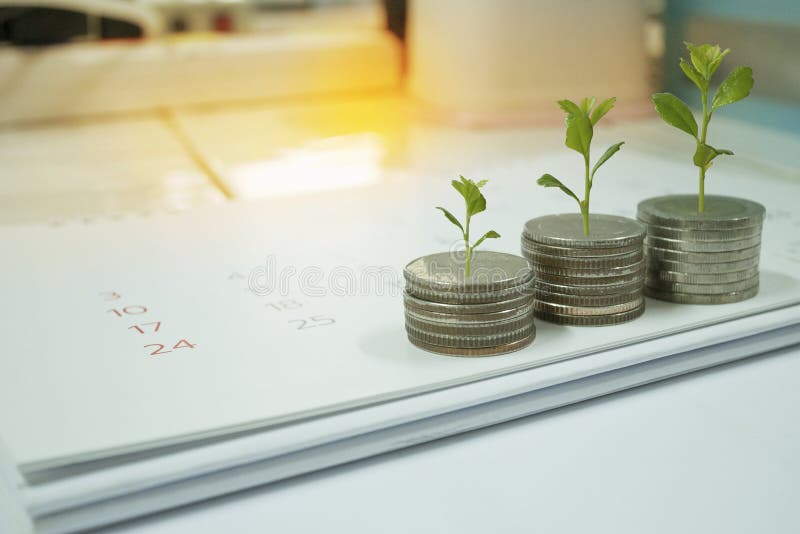 Coin with Tree in Mutual Funds Concept. Stock Image - Image of banking ...