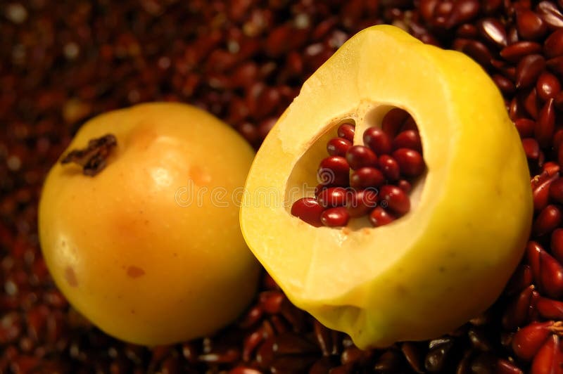 Coing photo stock. Image du coing - 16253276