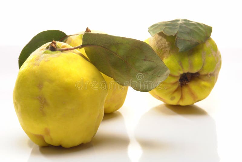 Coing photo stock. Image du coing, couleur, alimentation - 3294692