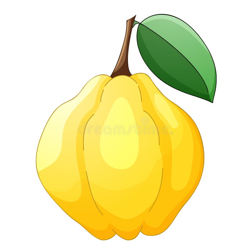 Coing Stock Illustrations, Vecteurs, & Clipart – (1,608 Stock ...