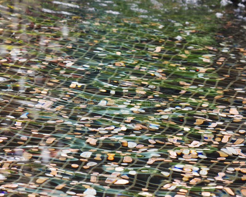 Bunch of golden coins stock photo. Image of coins, copper - 3377732