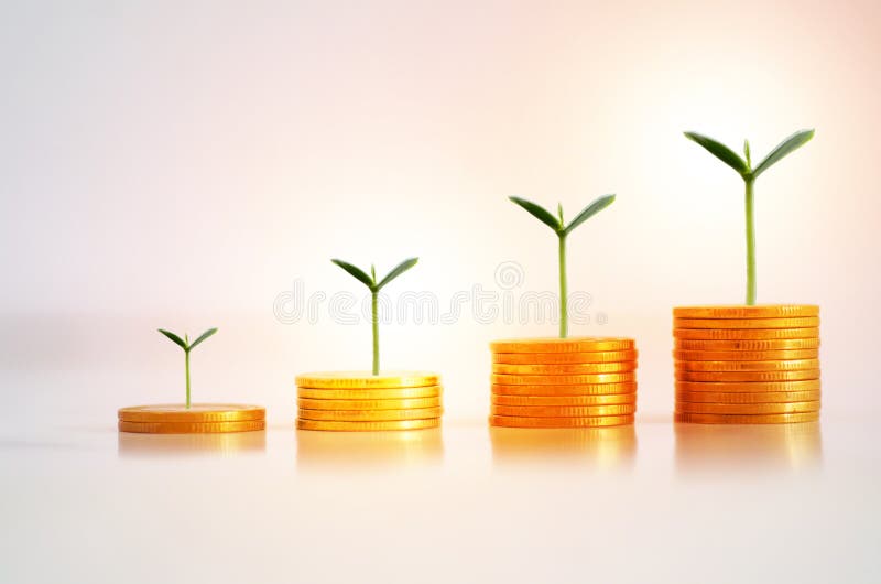 Coins in business growing. stock photo. Image of glass - 276205606