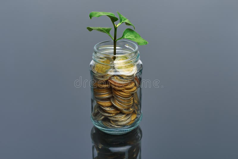 Coins in Glass Jar with the Small Tree on Top Stock Photo - Image of ...