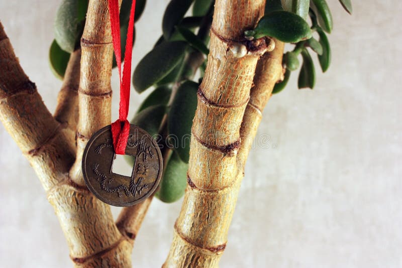 Coin Money Hanging on a Tree Stock Photo - Image of rich, isolated ...