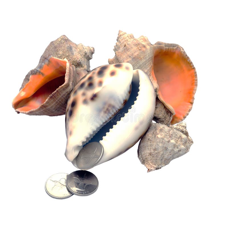 Coins Lying on the Sea Shell Stock Image - Image of seashells ...