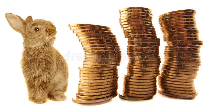 Coins and rabbit stock image. Image of europe, saving - 13609735