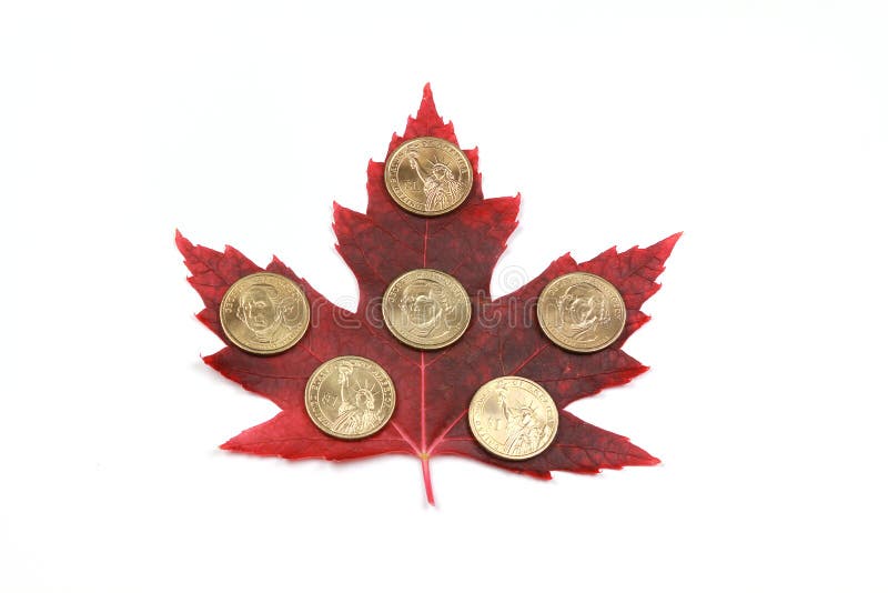 Coins and red maple leaf stock image. Image of fall, investments - 16958881