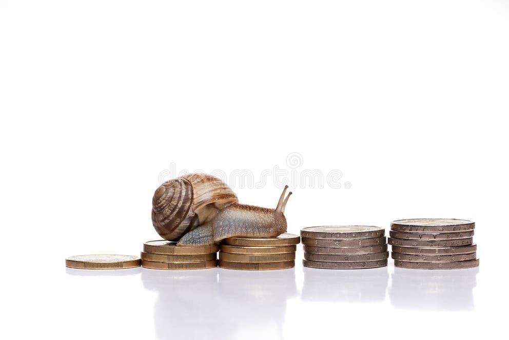 Coins and snail. stock photo. Image of savings, concept - 60859346