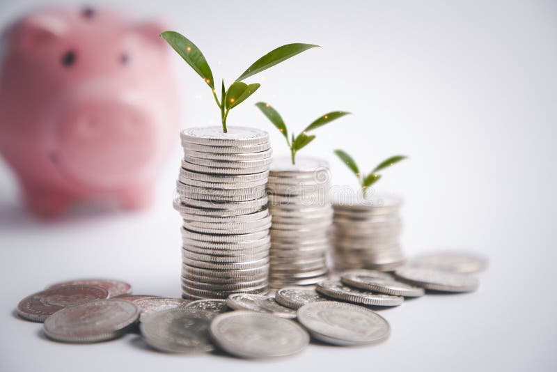 Coins Stack Close-up and Leaf on Coins Stack on White Background, Money ...