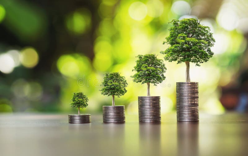 Coins Stack with Step Growing Plant and Sunshine Background. Concept ...