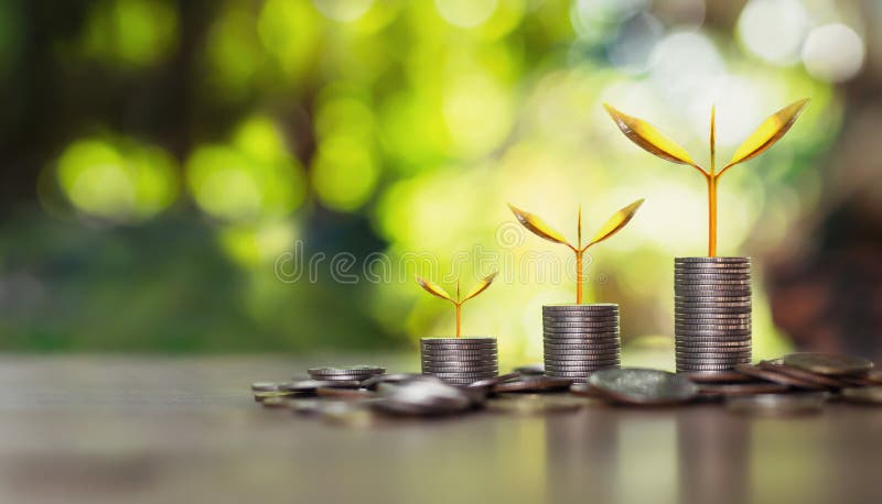 Coins Stack with Step Growing Plant and Sunshine Background. Concept ...