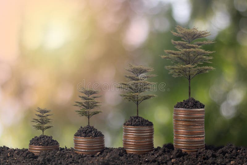 Coins Stacked from Low To High. (Saving Concept Stock Image - Image of ...