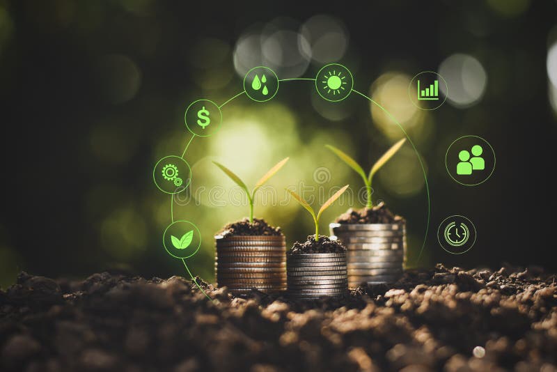 The Coins are Stacked Together with the Morning Sun Shining and the ...