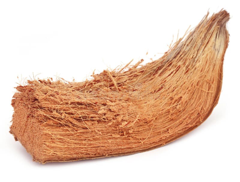 Coir of coconuts stock image. Image of hairy, rough, coco - 58598919